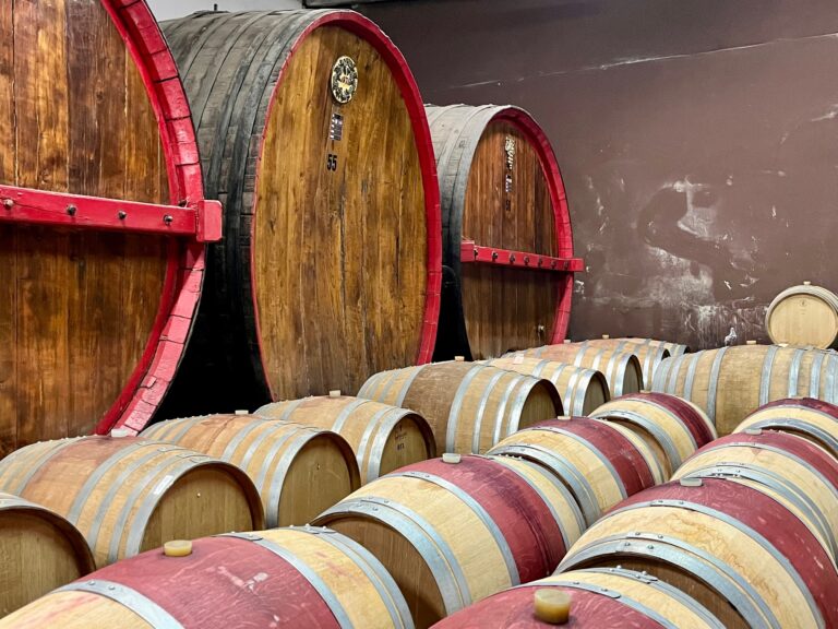 The History Behind the Legendary Barolo Wine
