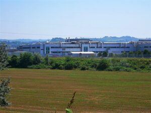 Ferrero and Nutella, pride of Alba | The chocolate factory of Alba