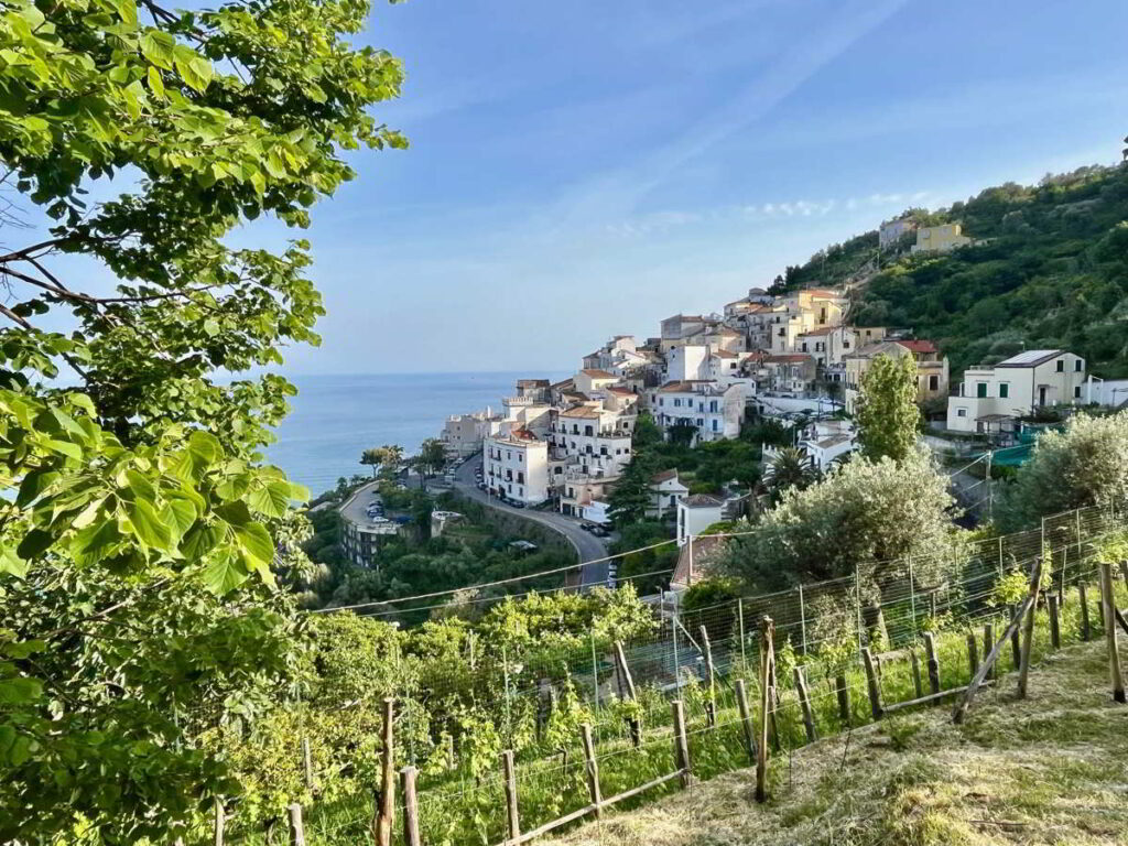 Meet Piemonte Tour Operator | Small-group Tour Vacations to Italy